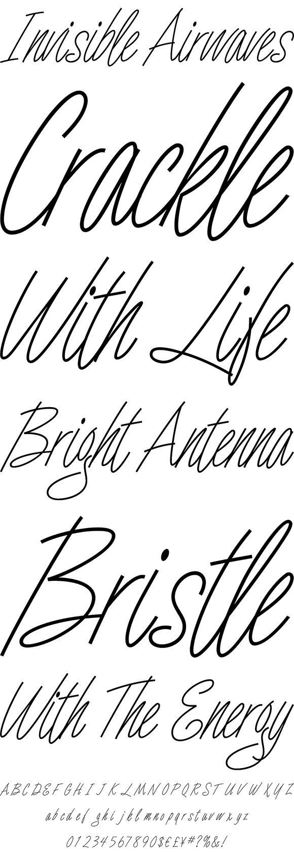 Angel Script - Desktop Font & WebFont - YouWorkForThem