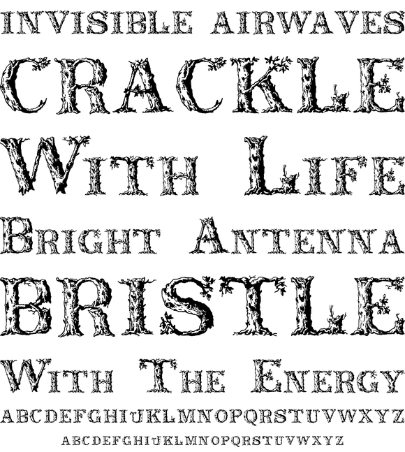 Dead Wood Rustic - Desktop Font & WebFont - YouWorkForThem