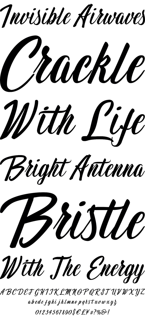 Wingman - Desktop Font & WebFont - YouWorkForThem