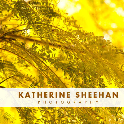 Katherine Sheehan - YouWorkForThem