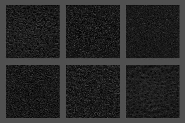 Organic Textures - Graphics - YouWorkForThem