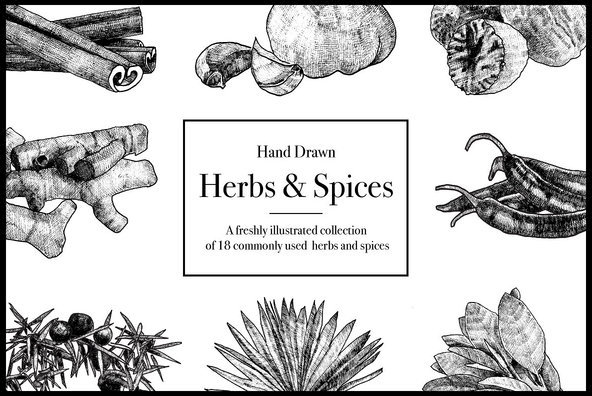 Hand Drawn Herbs Spices Graphics - YouWorkForThem