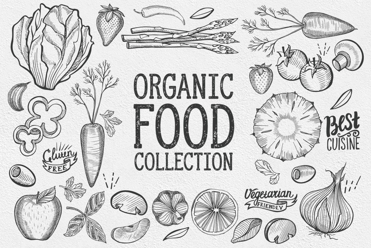 Organic Food Illustrations Graphics - YouWorkForThem