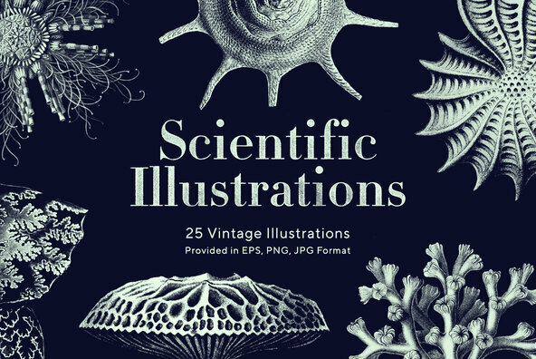 Scientific Illustrations Graphics - YouWorkForThem