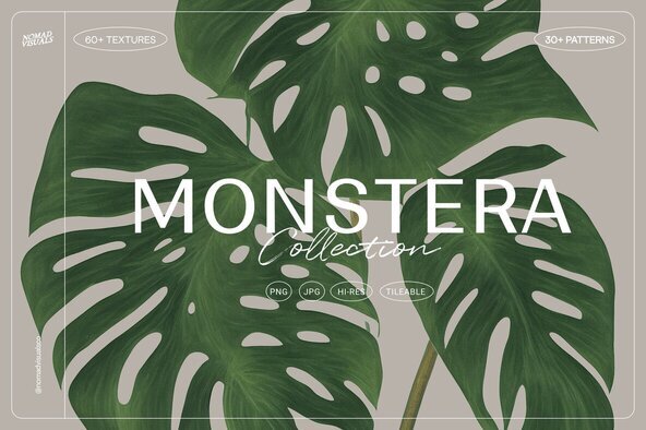 Monstera Tropical Collection Graphics - YouWorkForThem