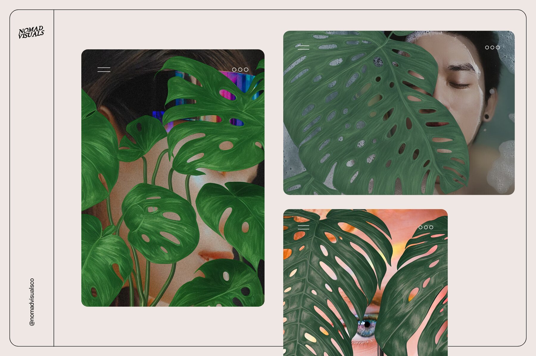Monstera Tropical Collection Graphics - YouWorkForThem