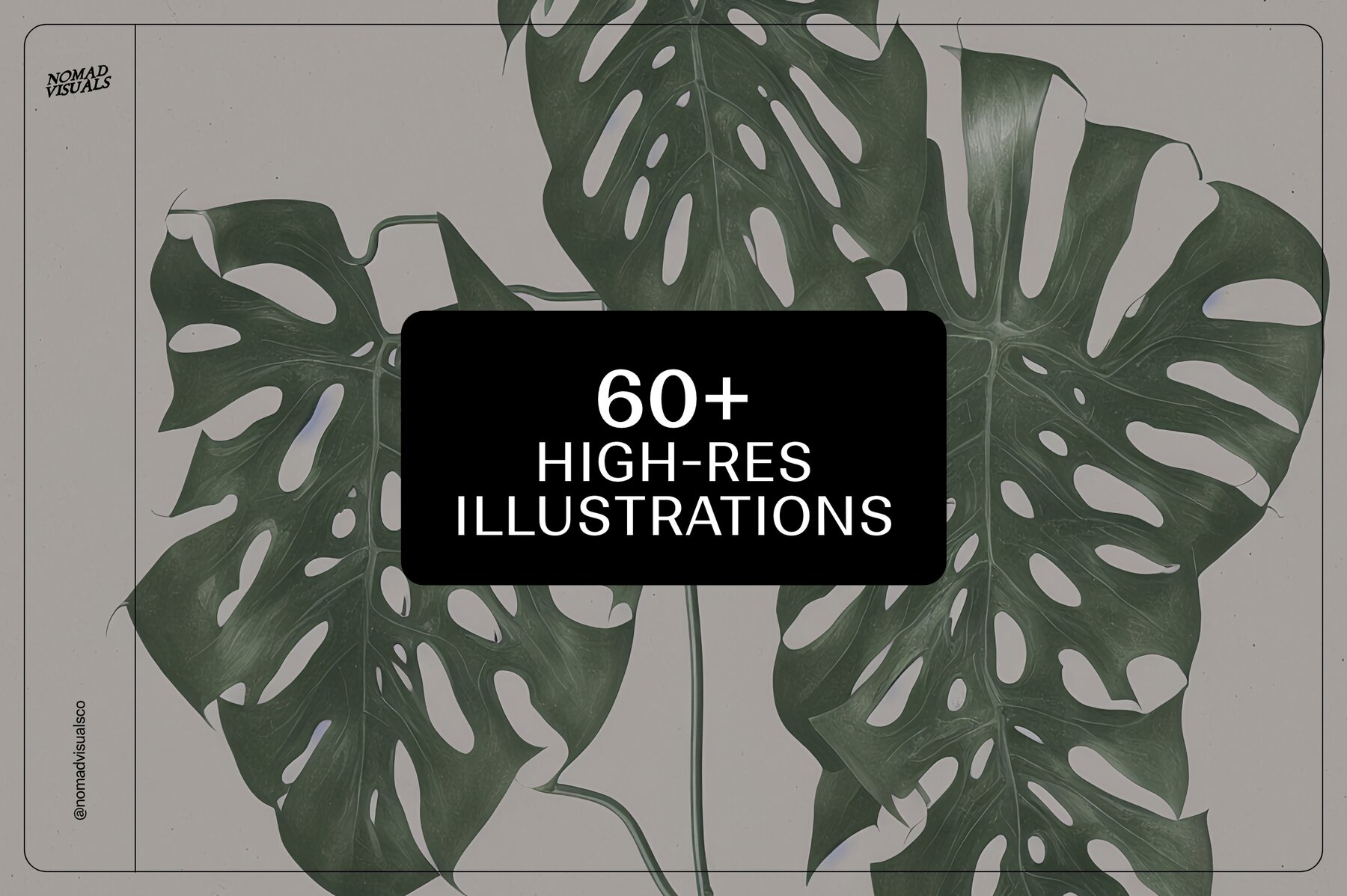 Monstera Tropical Collection Graphics - YouWorkForThem