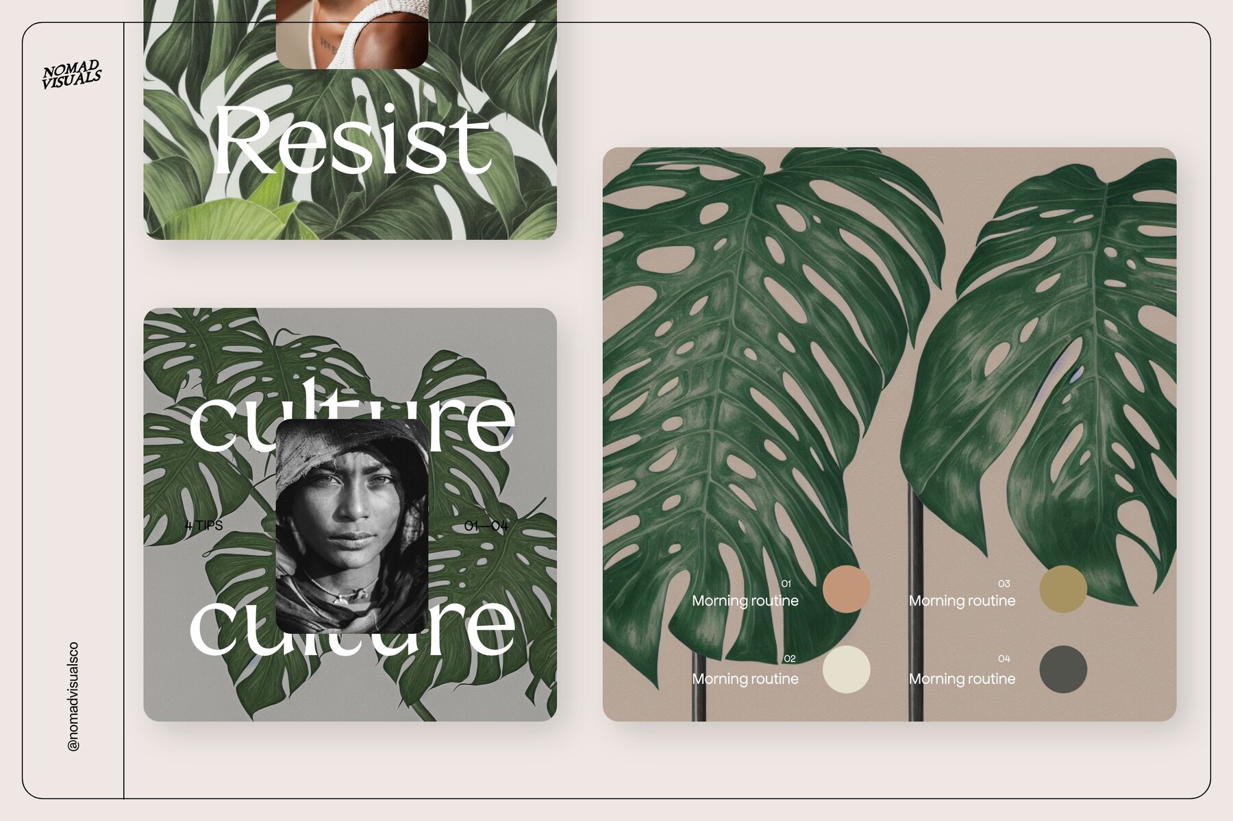 Monstera Tropical Collection Graphics - YouWorkForThem