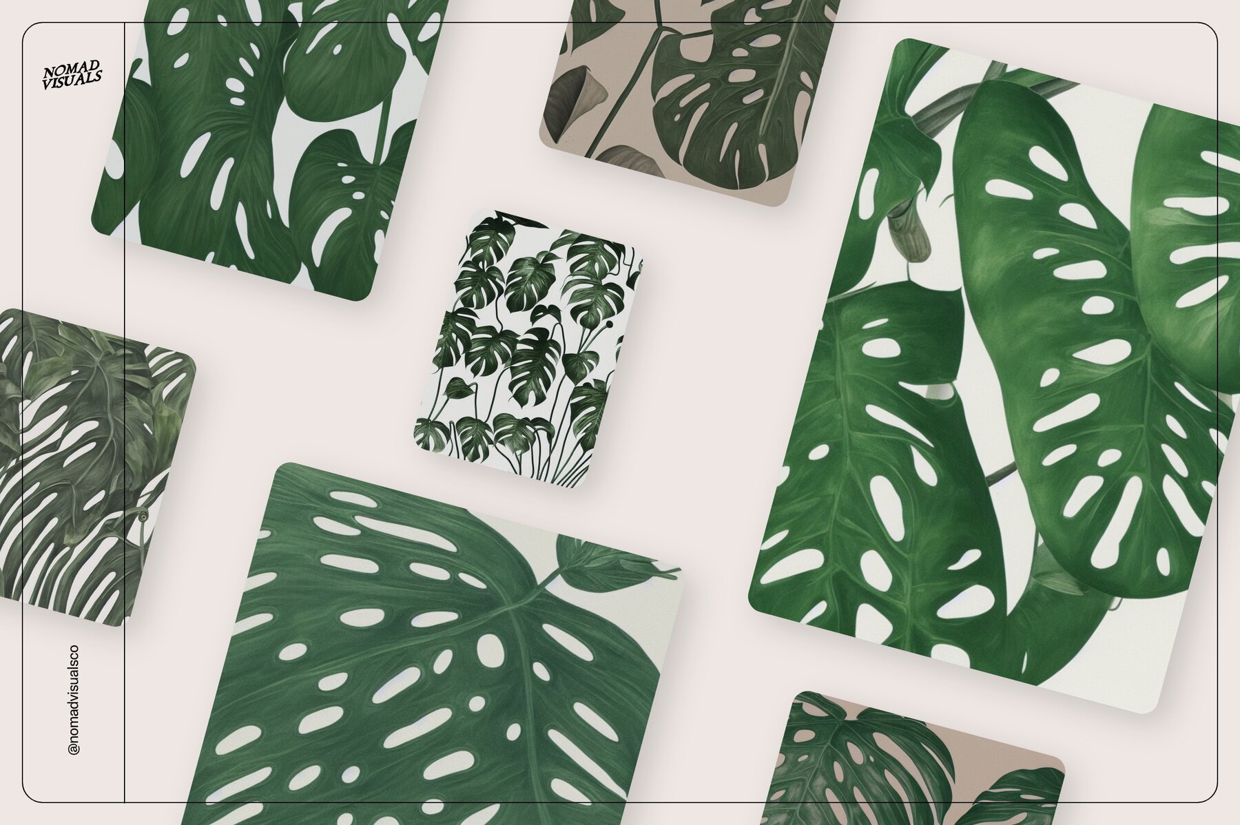 Monstera Tropical Collection Graphics - YouWorkForThem