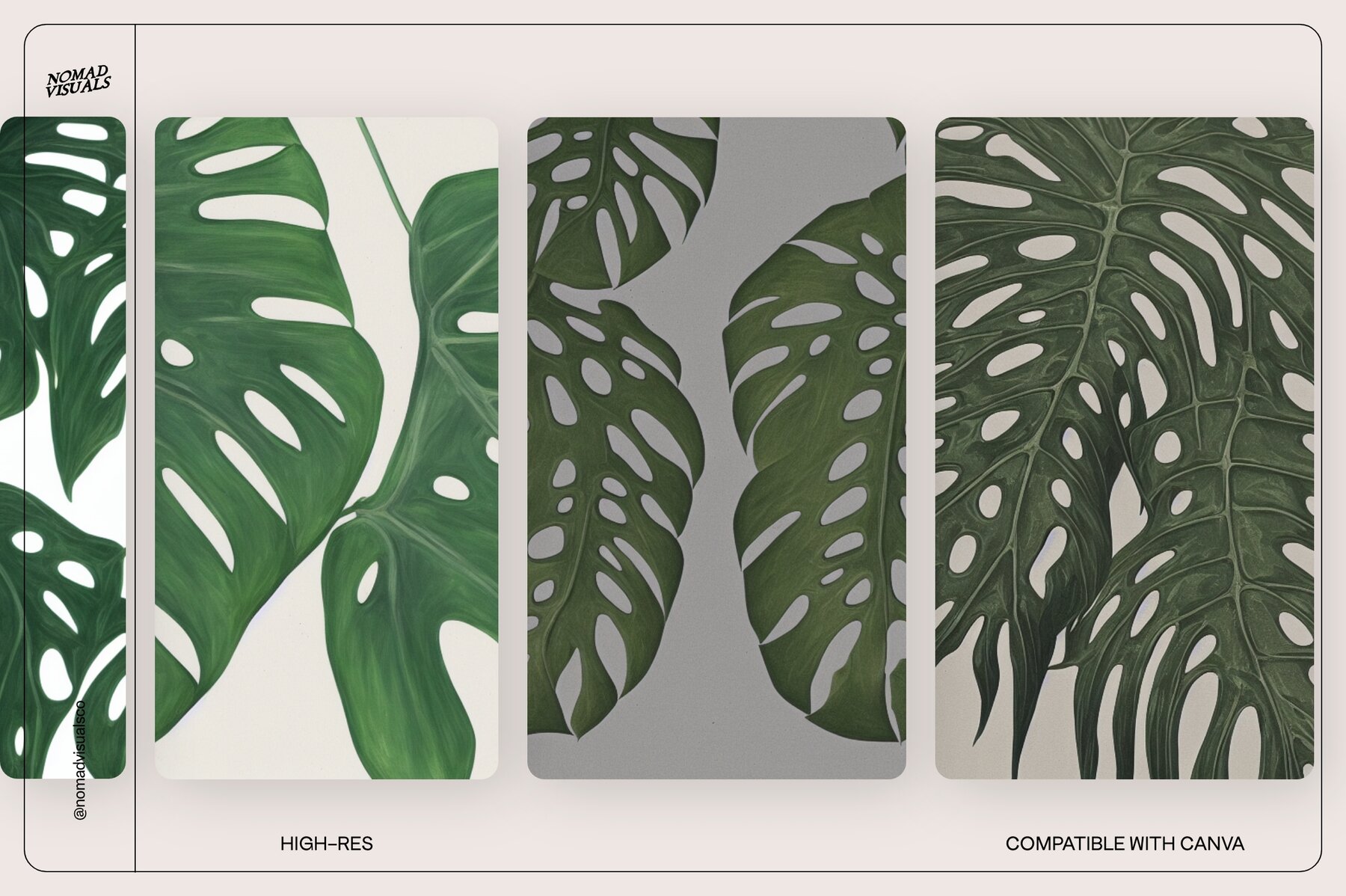 Monstera Tropical Collection Graphics - YouWorkForThem