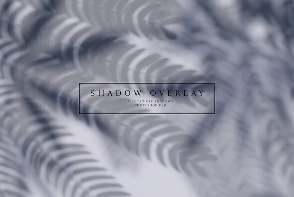 Botanical Shadow Overlays Graphics - YouWorkForThem