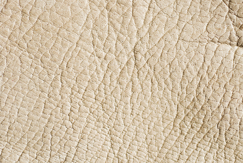Leather Skin stock photo (158804) - YouWorkForThem