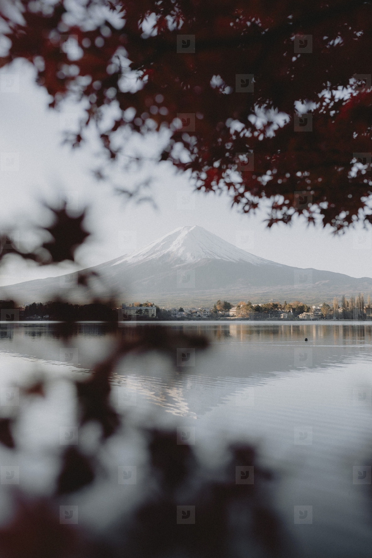 Scenic view sunrise over lake and Mount Fuji stock photo (262074 ...