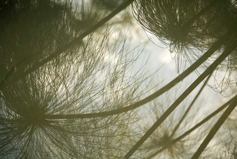 Katherine Sheehan - YouWorkForThem