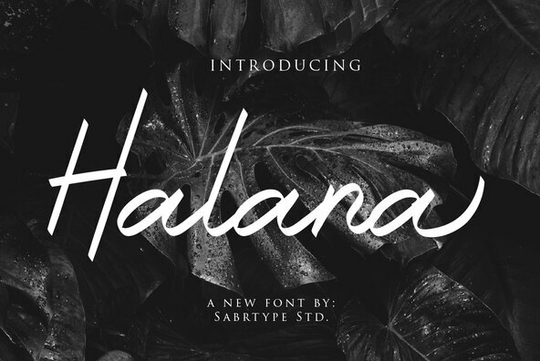 Halana Font - YouWorkForThem