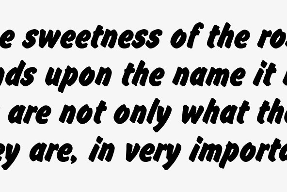 Flash - Desktop Font & WebFont - YouWorkForThem