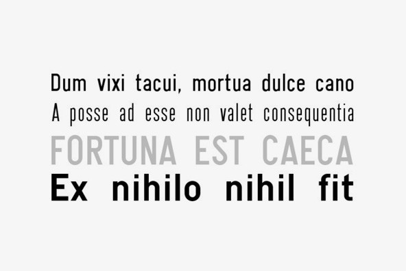 Snv - Desktop Font & WebFont - YouWorkForThem