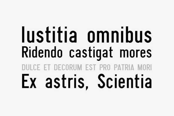 Snv - Desktop Font & WebFont - YouWorkForThem