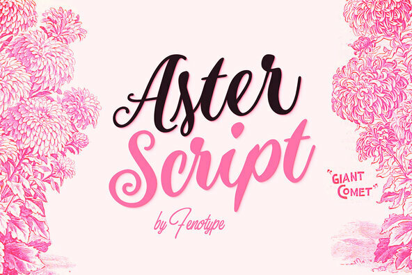 Aster Script Font - YouWorkForThem