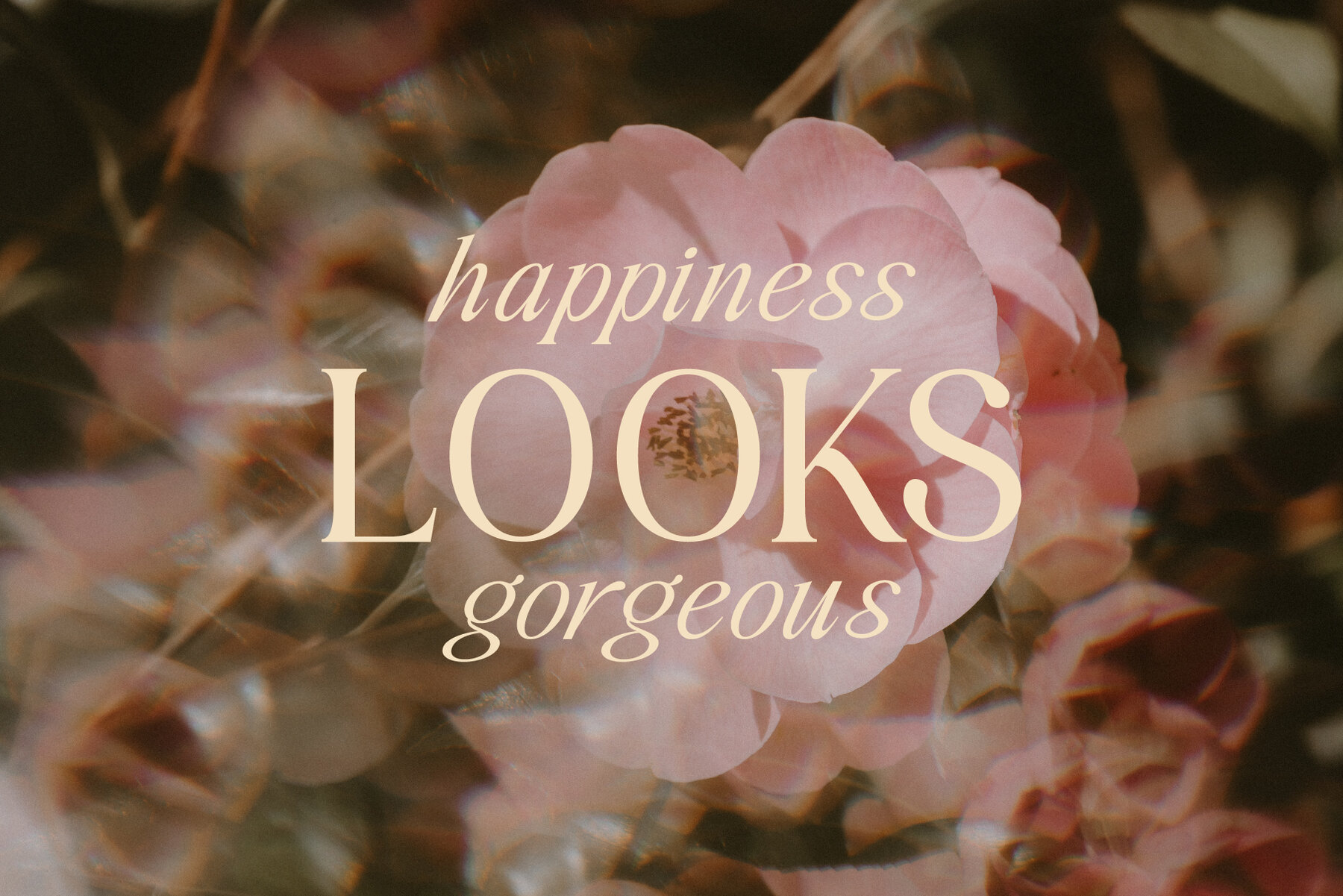 Shows Gracious Font - YouWorkForThem