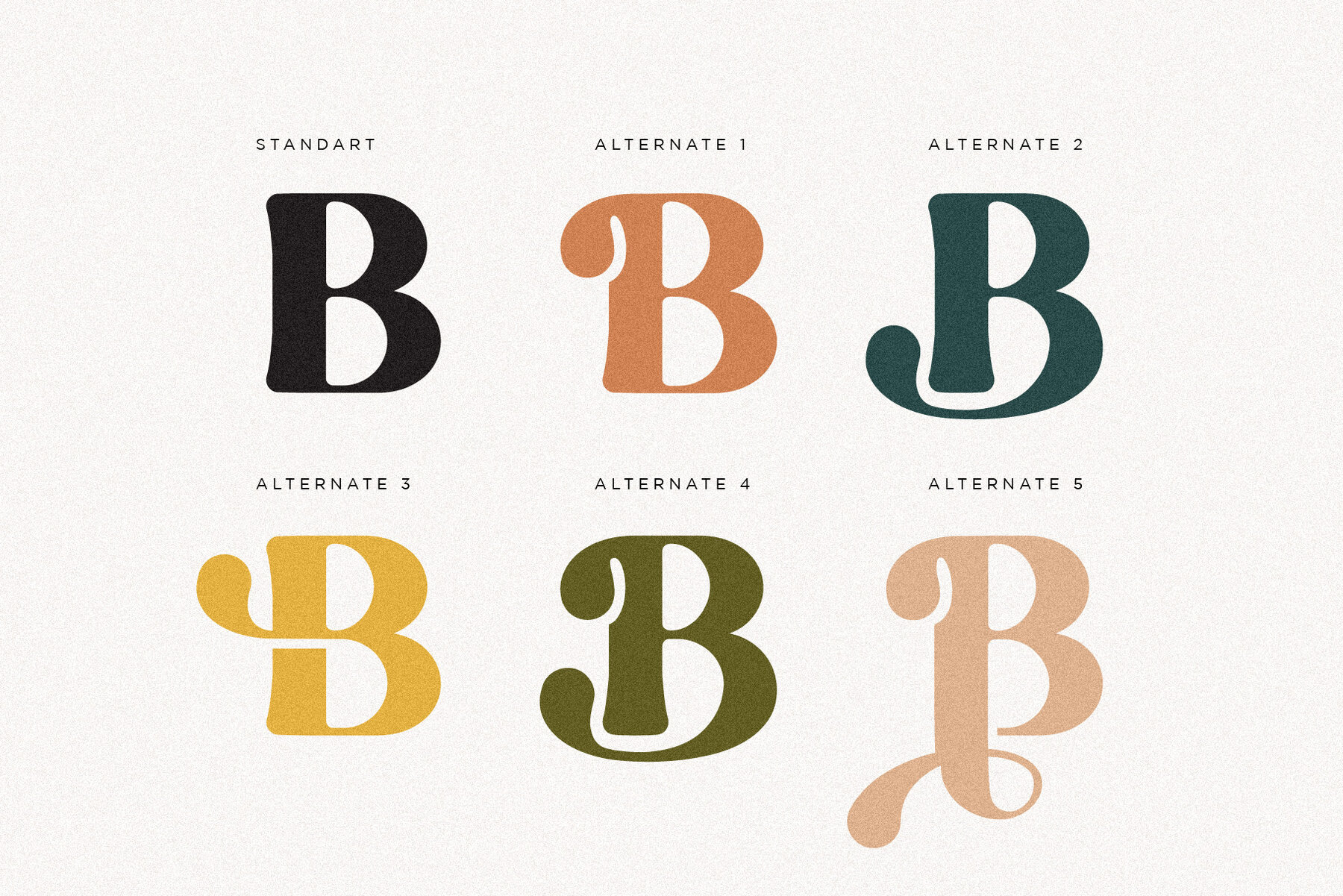 Special Charisma Font - YouWorkForThem