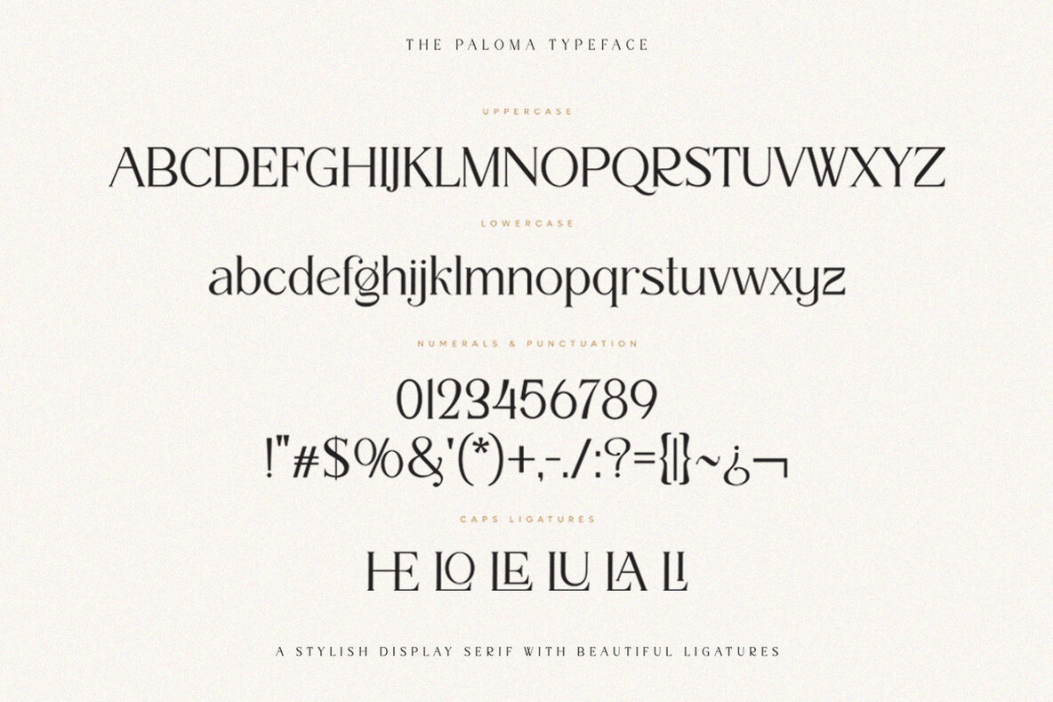 The Paloma Font - YouWorkForThem