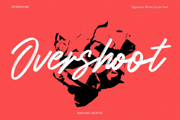 Overshoot Regular Font OpenType - YouWorkForThem