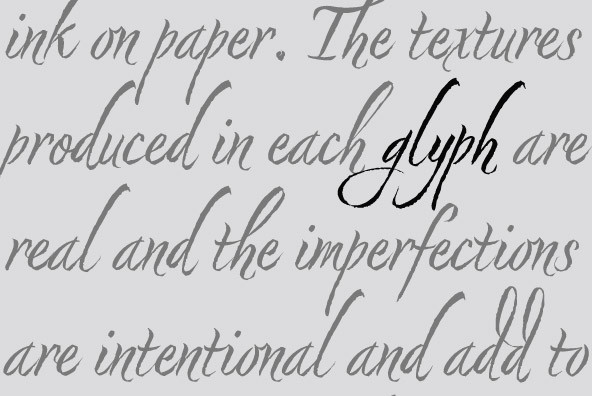 Nori - Desktop Font & WebFont - YouWorkForThem