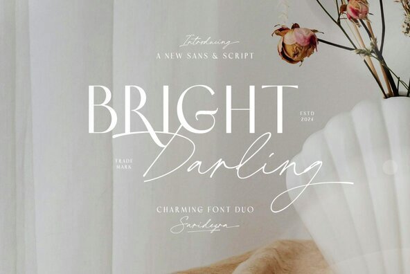 Bright Darling Script Font TrueType - YouWorkForThem