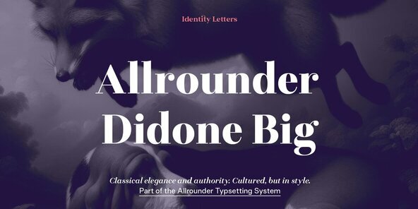 Allrounder Didone Big Book Font OpenType - YouWorkForThem