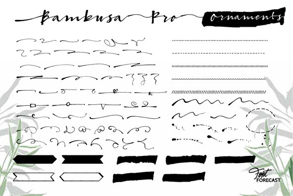 Bambusa Pro - Desktop Font & WebFont - YouWorkForThem