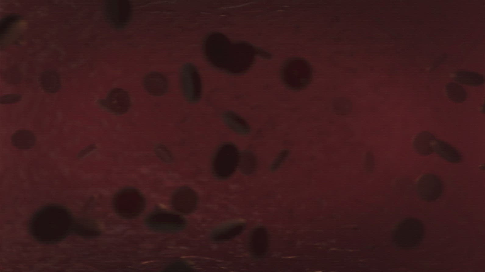 Red Blood Cells 12 - Medical VFX (8521) Video - YouWorkForThem